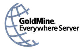 GoldMine Software Services by CICorporation
