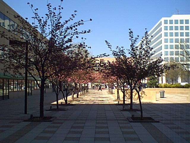 USDA Graduate School